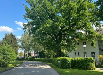 Aktuelles – Gemeinde Anzing